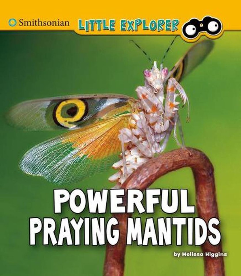 Powerful Praying Mantids by Melissa Higgins (English) Paperback Book ...