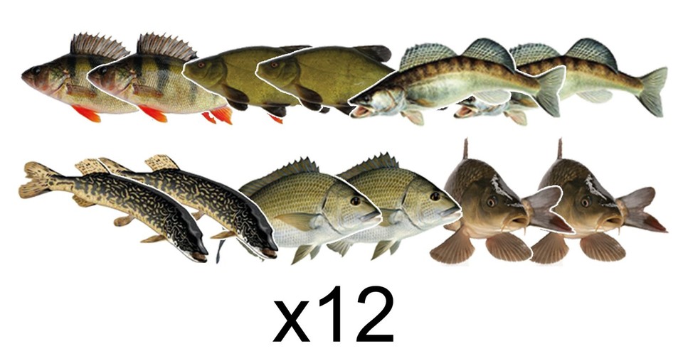 Fishing Fish Mix Bunting Birthday Events Party Decorations 12pcs | eBay UK