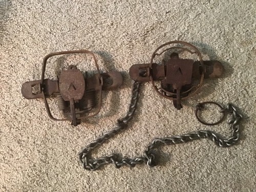 Victor 1 1/2 D Double Jaw Coil Spring Trap & Victor No. 2 Coil Spring ...