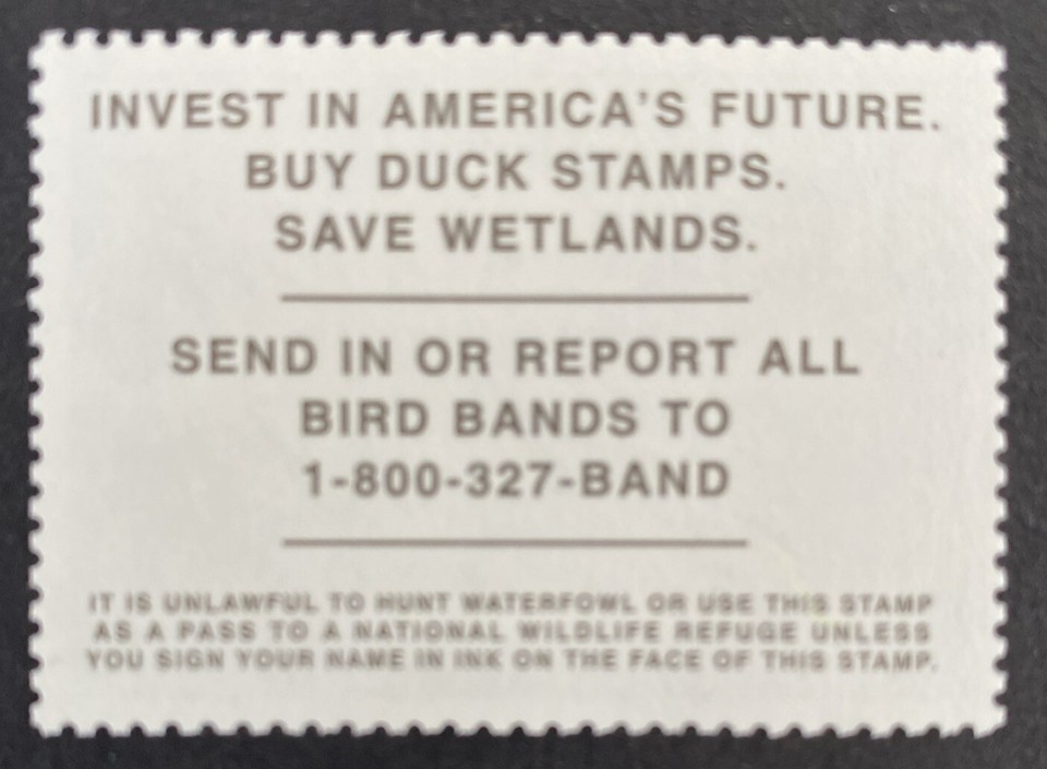 US #RW73 2006 15 Ross’ Goose Federal Duck Stamp MNH | eBay