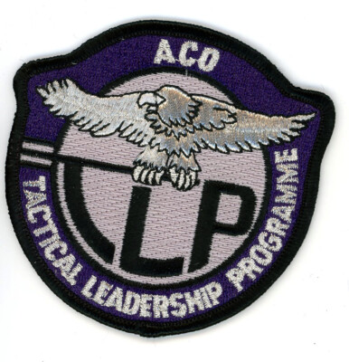 PATCH TLP ACO TACTICAL LEADERSHIO PROGRAMME IRON ON SILVER PARCHE | eBay
