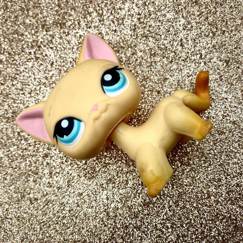 Hasbro LPS Littlest Pet Shop Shorthair Cat Yellow Brooke Hayes LPS ...