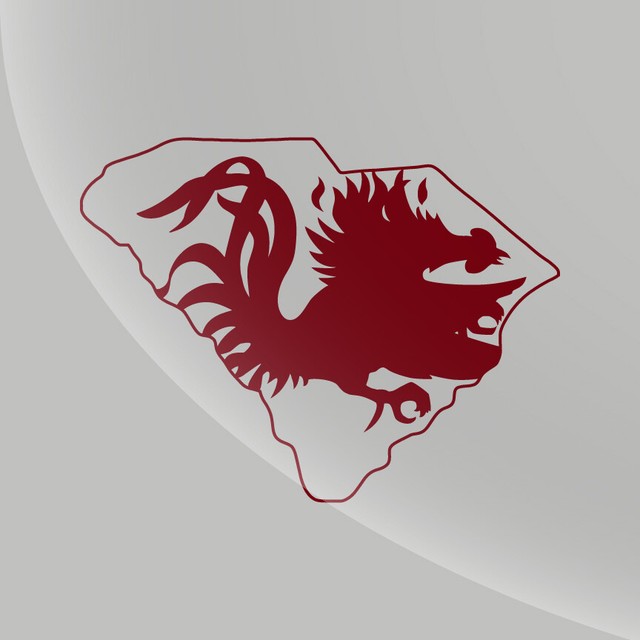 South Carolina Gamecocks Outline SC State Pride Decal Sticker 4 inch to ...