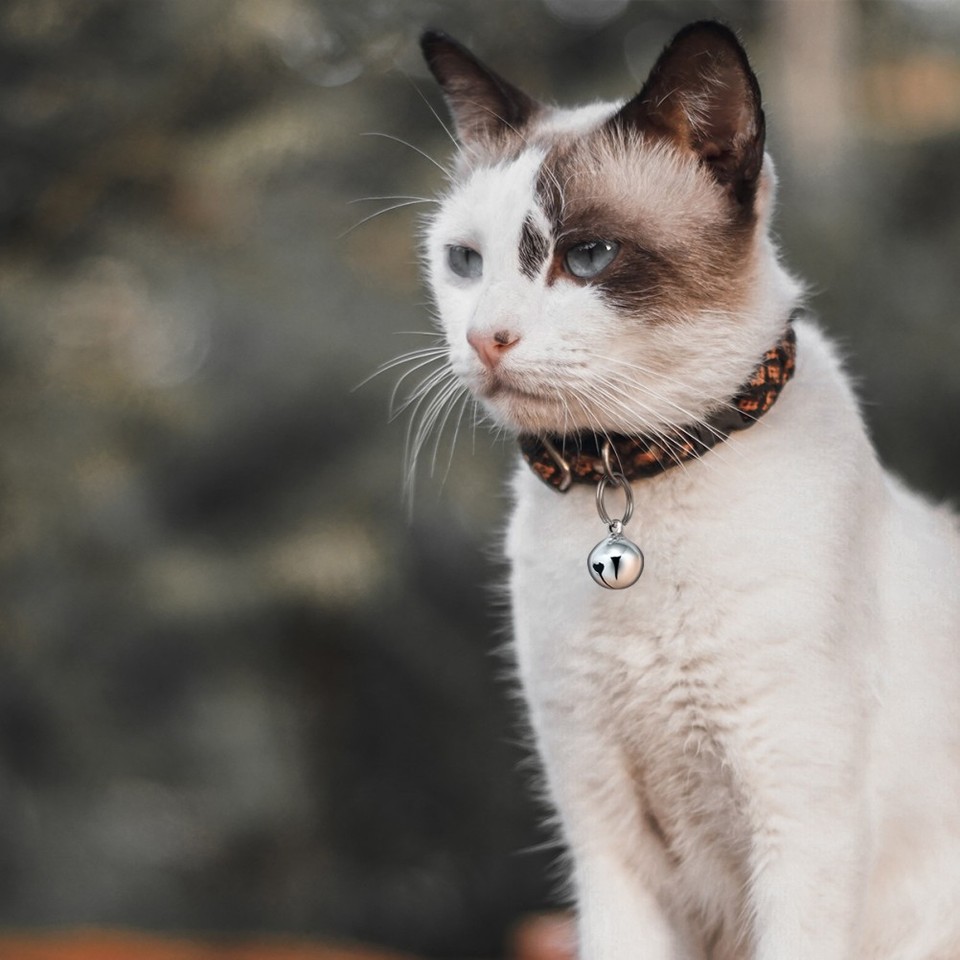 6PCS cartoon pet bells pet bells Pet Pendant Bell pet bell cat collar ...