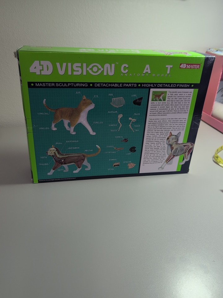 4D Vision Orange Cat Anatomy Model Educational STEM 28 Detachable PCs ...