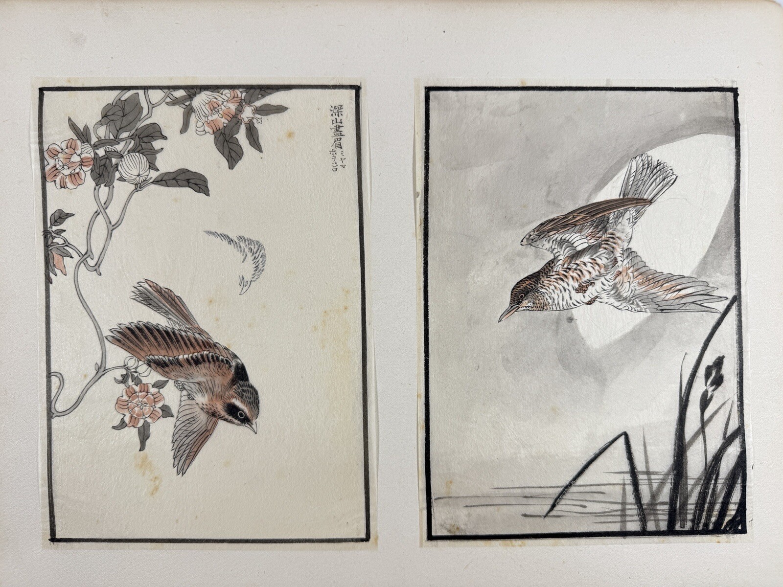 Japanese Drawing Book “Kachoshu” Picture of birds and flowers 49 ...