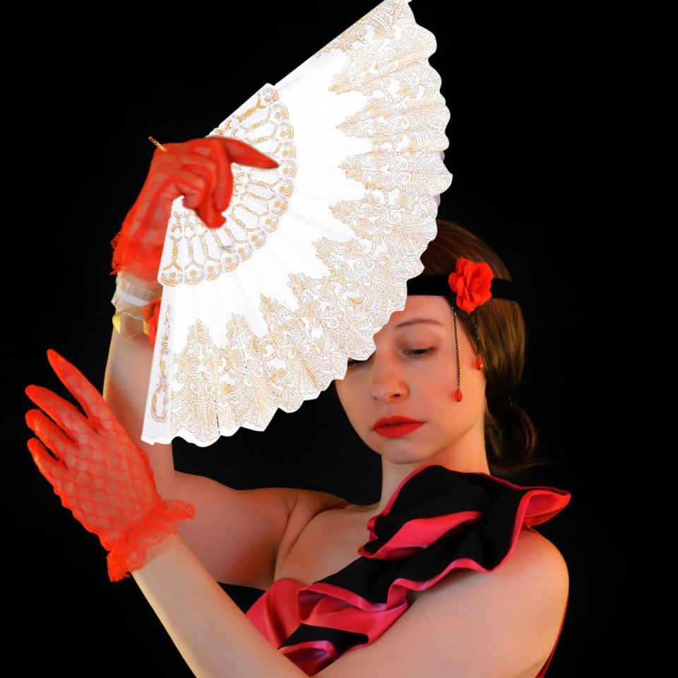 2pcs Asian Silk Folding Fan Japanese Folding Fan Folded Fan Handheld ...