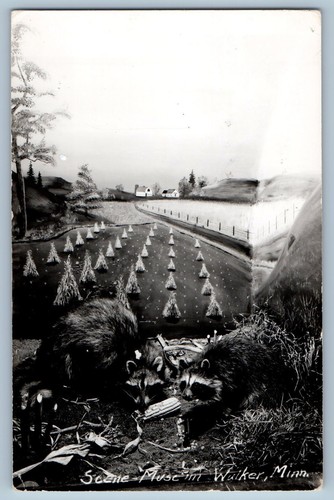 Walker Minnesota MN Postcard RPPC Photo Scene Museum c1950's Unposted ...