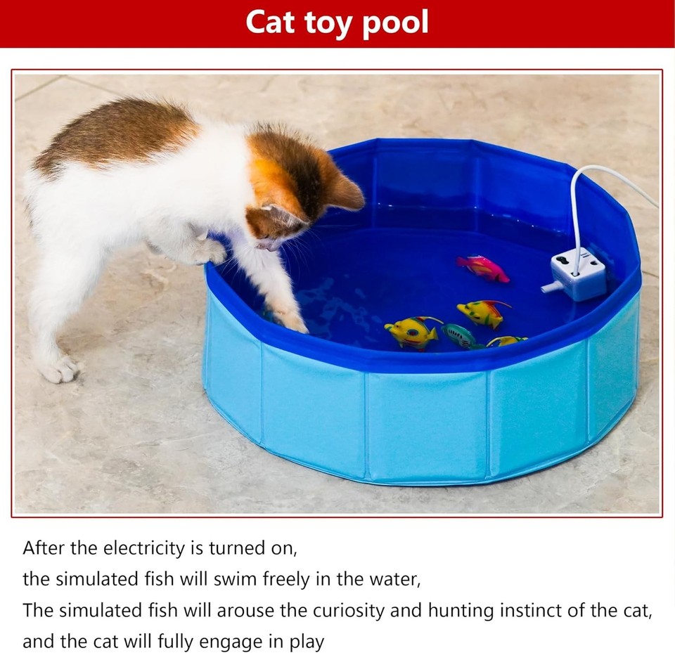 Cat Pool Interactive Toys, Toy Fish – Fun Water Play for Medium, Blue ...