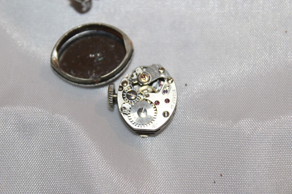 Vintage Helbros 17 Jewel Ladies Wind-up Wrist Watch | eBay