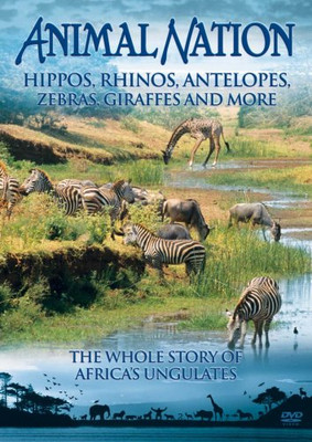Animal Nation - Hippos, Rhinos, Antelopes, Zebras, Giraffes and more ...