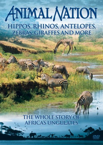 Animal Nation - Hippos, Rhinos, Antelopes, Zebras, Giraffes and more ...