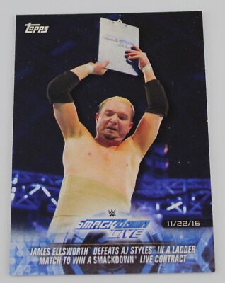 James Elsworth WWE Wrestling Trading Card Topps Raw Smackdown Wrestler ...
