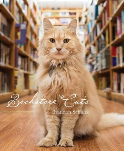 Bookstore Cats by Brandon Schultz 9781943876525 | eBay