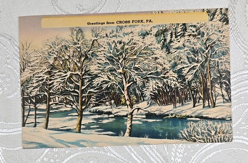 Postcard Greetings From Cross Fork PA winter scene trees brook 1950 ...