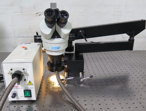 R197908 AmScope Clamp-Down Benchtop Microscope w/ Light Source | eBay