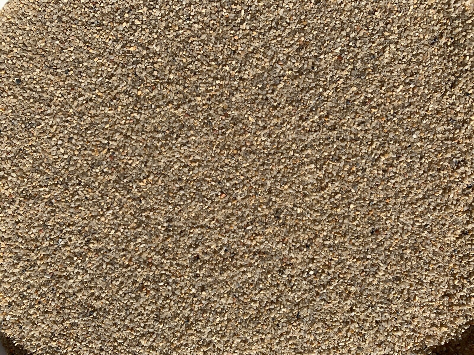 Rasensand Gartensand 25 kg Quarzsand für Rasenerde Bodenverbesserung ...