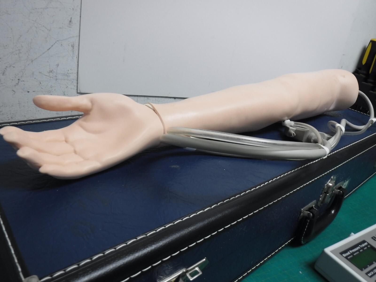 Blood Pressure Training Arm - Laerdal Blood Pressure Training Arm | eBay
