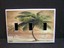 TROPICAL PARIDSE BEACH PALM TREE # 8 LIGHT SWITCH COVER PLATE OR OUTLET ...