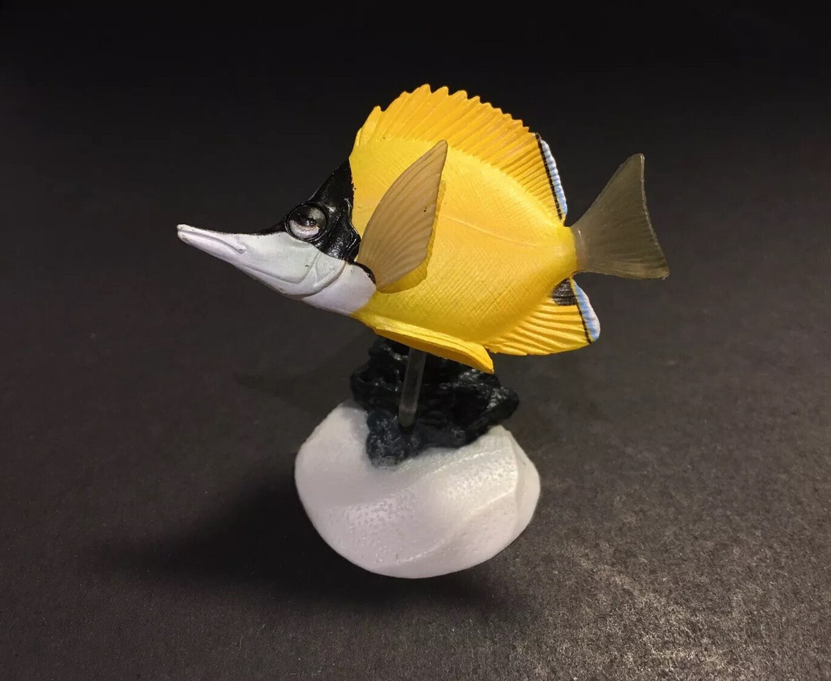 Butterfly Fish Tropical Butterflyfish Wikipedia