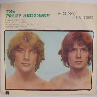THE PALEY BROTHERS: Ecstasy / Hide N’ Seek SIRE USA Punk Promo 7” 45 NM ...