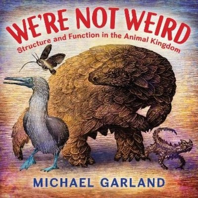 Michael Garland We're Not Weird (Taschenbuch) (US IMPORT) | eBay.de