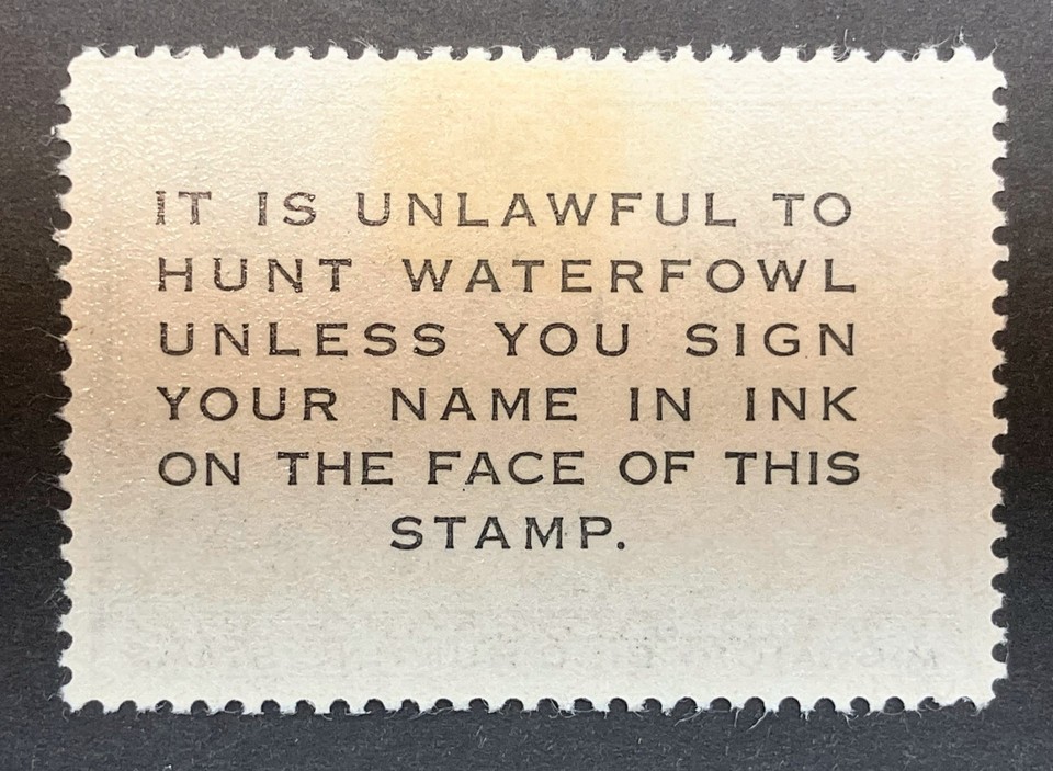 RW22 Federal Duck Hunting Stamp Mint Hinged OG Migratory Bird Hunting ...
