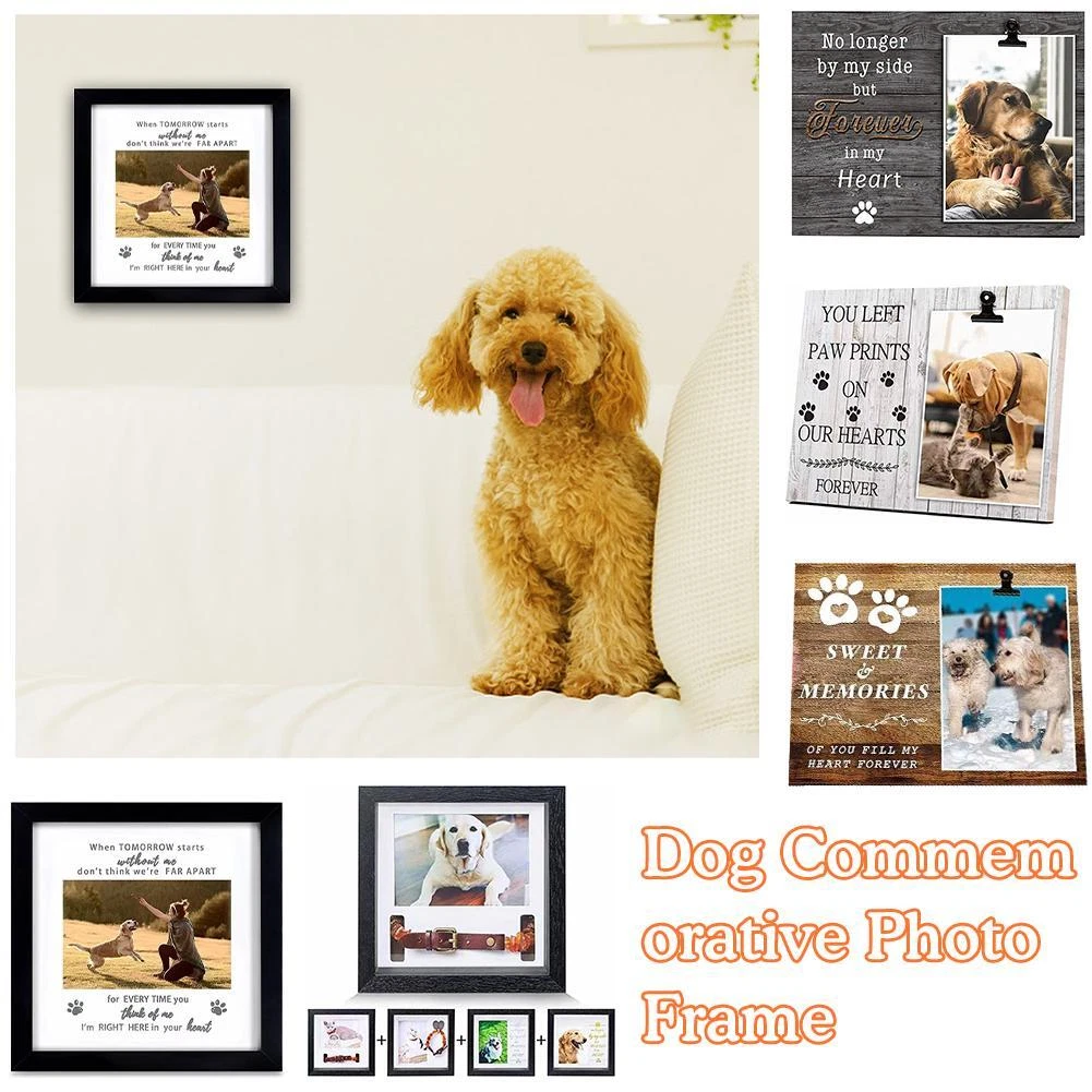 Fill The Frame Photography Dogs