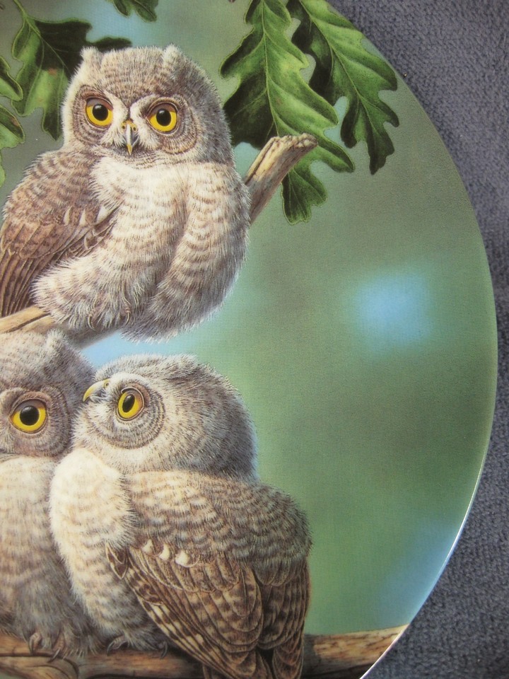 Peek-A-Whoo Collector Plate Baby Owls Of North America Joe Thornbrugh ...