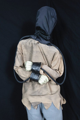 Spirit Halloween 2014 Electrified Maniac Life Size Prop Animatronic ...