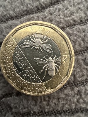 £1 Coin King Charles 111 Bees 2025 One Pound Coin | eBay UK