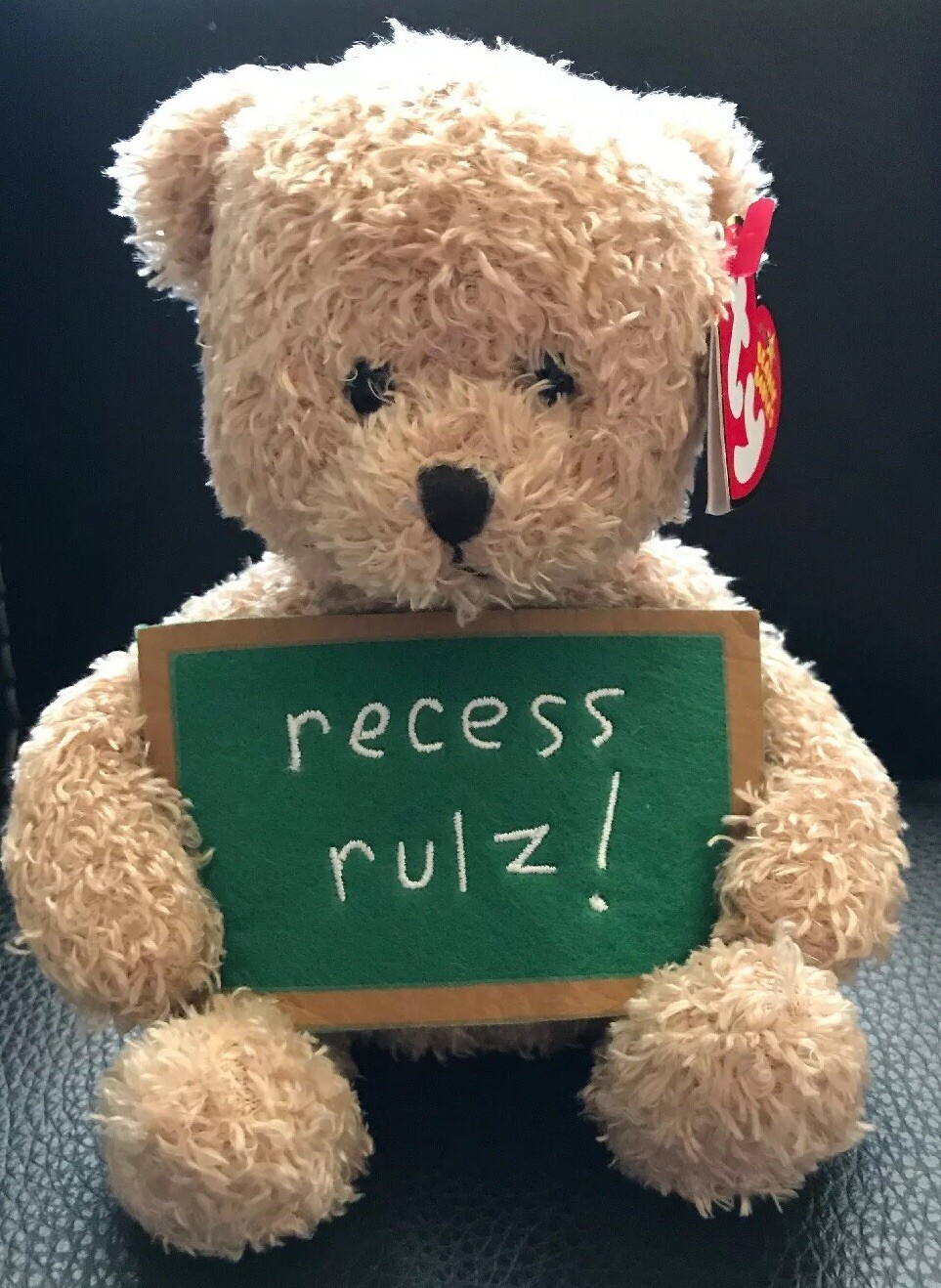 TY Beanie Baby SCHOOL ROCKS the Bear Plush (Recess Rulz!) Hallmark Excl ...