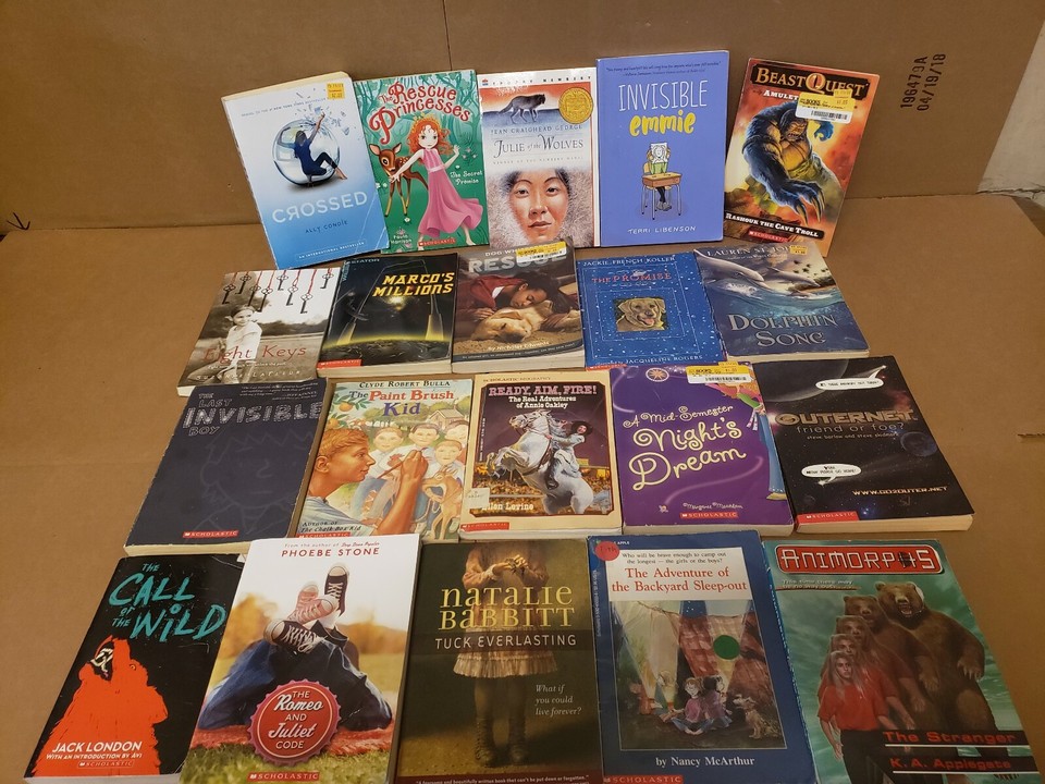 Lot of 50 Chapter INSTANT LIBRARY Children Young Adult RANDOM UNSORTED ...