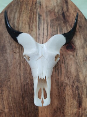 Hand Carved Bone Buffalo Skull | eBay Australia