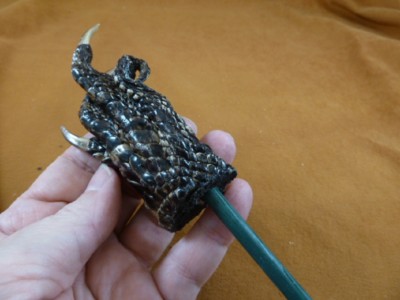 (g625-9) Small Gator FOOT Back Scratcher PAW ALLIGATOR backscratcher ...