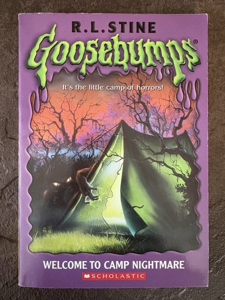 R.L. Stine Goosebumps Vintage 17 Book Lot Horrorland Young Scrooge ...