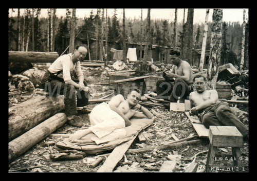 Foto, WK2, Alakurtti/RUS, die Stellung nach schwerem Angriff, 1942 ...