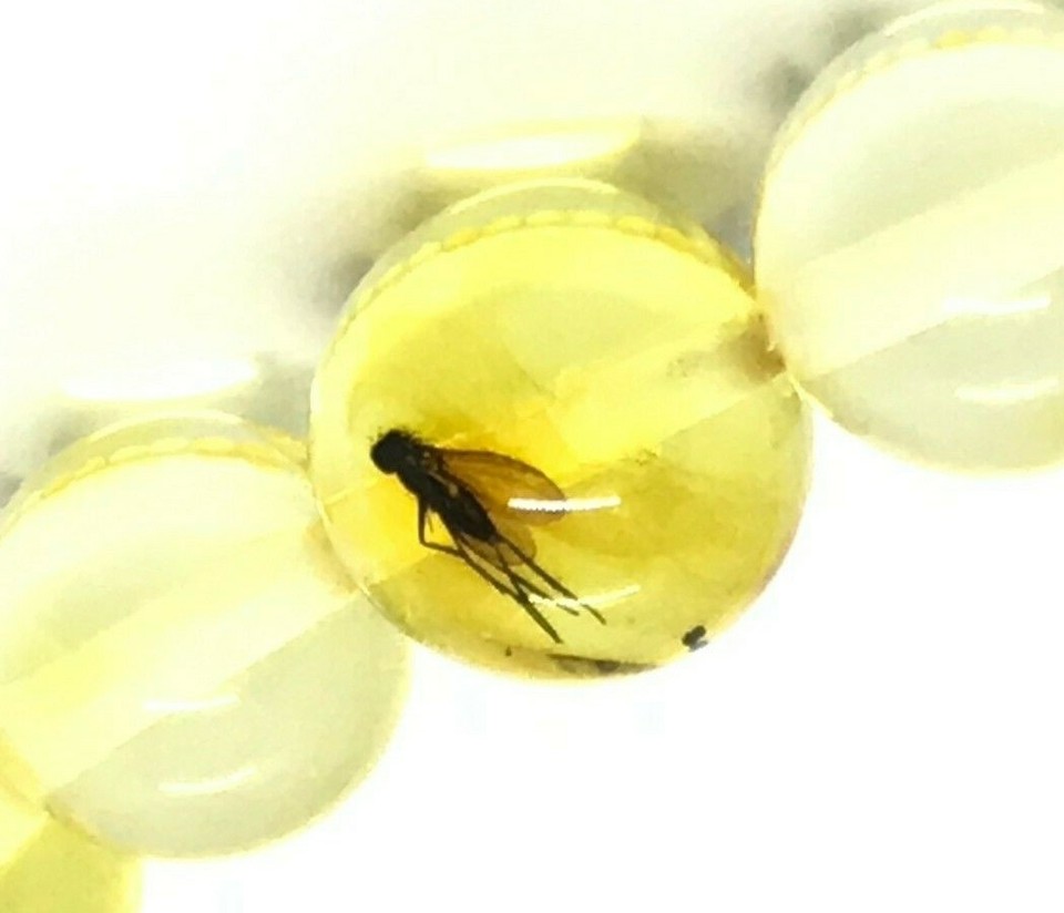 Insect BALTIC AMBER BRACELET Fossil Inclusion Round Beads Insects Gift ...
