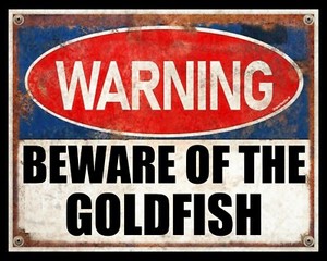 WARNING BEWARE OF THE GOLDFISH KOI FISH GARDEN POND METAL PLAQUE TIN ...