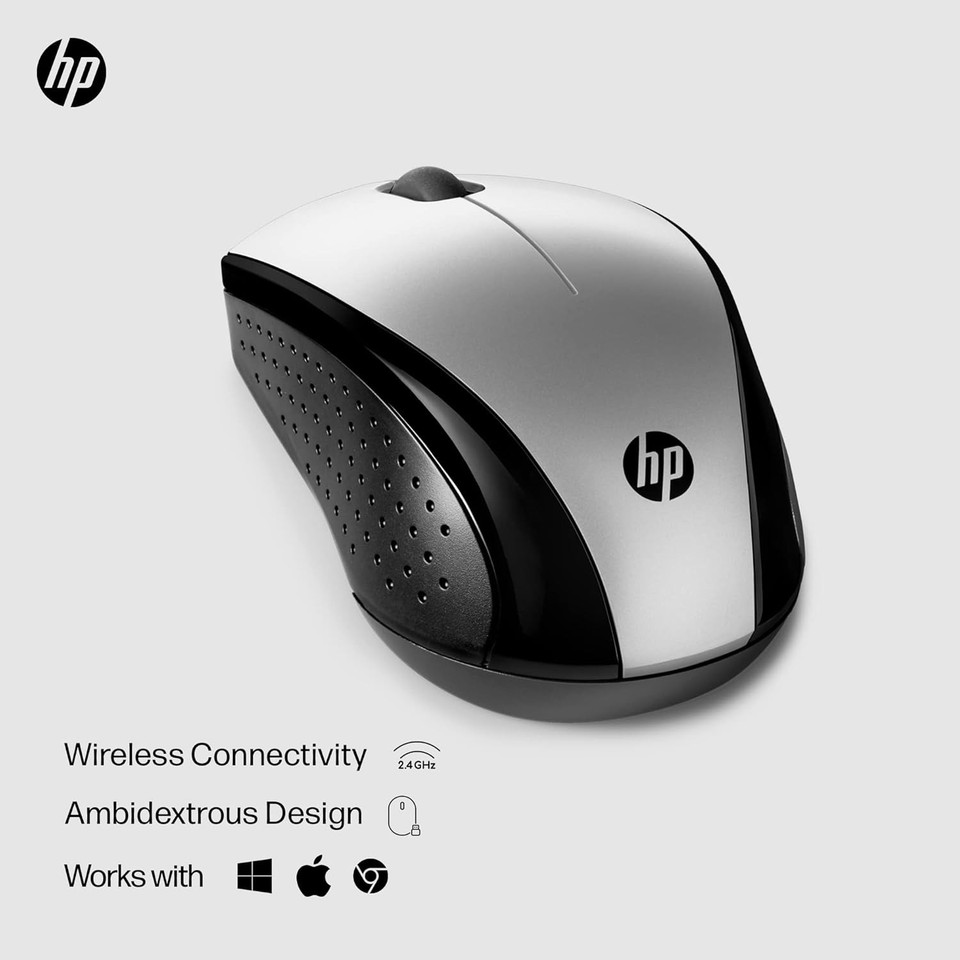 HP X3000 G3 Wireless Mouse Silver, up to 15-Month Battery,Scroll Wheel ...