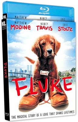 Fluke (Blu-ray) Matthew Modine Nancy Travis Eric Stoltz | eBay