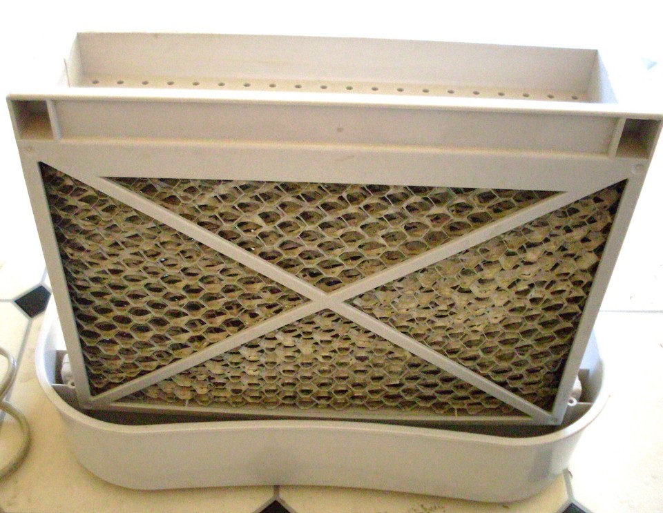 Hunter Care Free Humidifier Plus 33282 Evaporative Niteglo | eBay