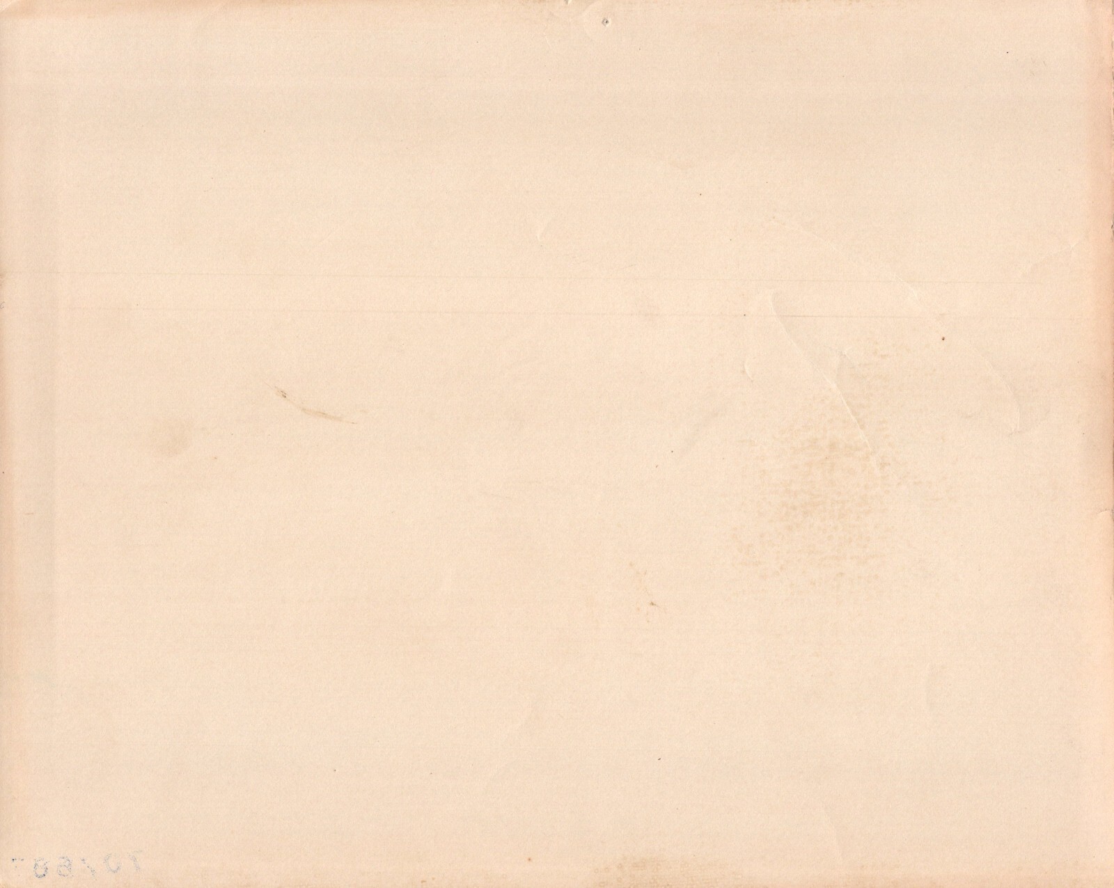 Anne Grete Nissen (1969) 🎬⭐ Leggy Cheesecake - Vintage Movie Photo K ...