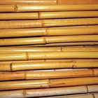 Bamboo Poles Large BULK Bundles- 1.5 to 2" Dia x 6 Ft Tall- Natural ...