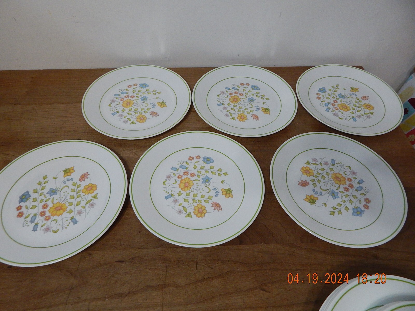 VTG CORELLE SPRING MEADOW DINNER PLATES 10.25” SET OF 6 Made In USA By ...