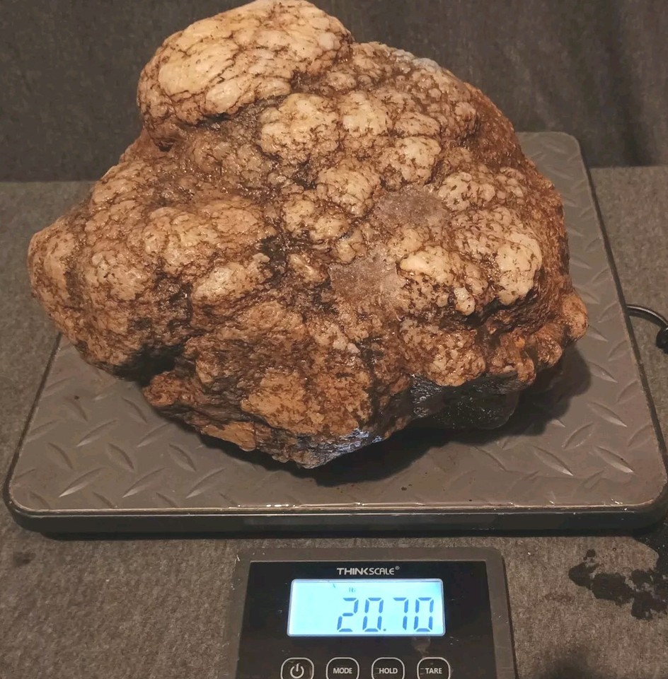 Beautiful 20 lb Unopened Fossiliz3d indiana Geode Crystal | eBay