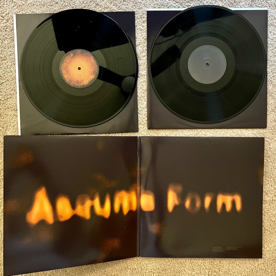 Assume Form by Blake, James (Record, 2019) 2 LP 602577441899 | eBay