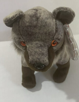 Ty Beanie Babies Howl the Wolf Coyote Dog - MINT with MINT TAGS | eBay