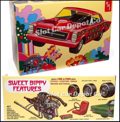 1/25 Scale Model Kit 1966 Ford Galaxie 500 "Sweet Bippy" by AMT -Skill ...