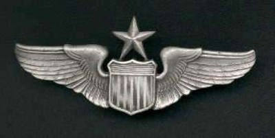US Air Force Senior Pilot Wings 1/2 size or mini USA Made Genuine | eBay